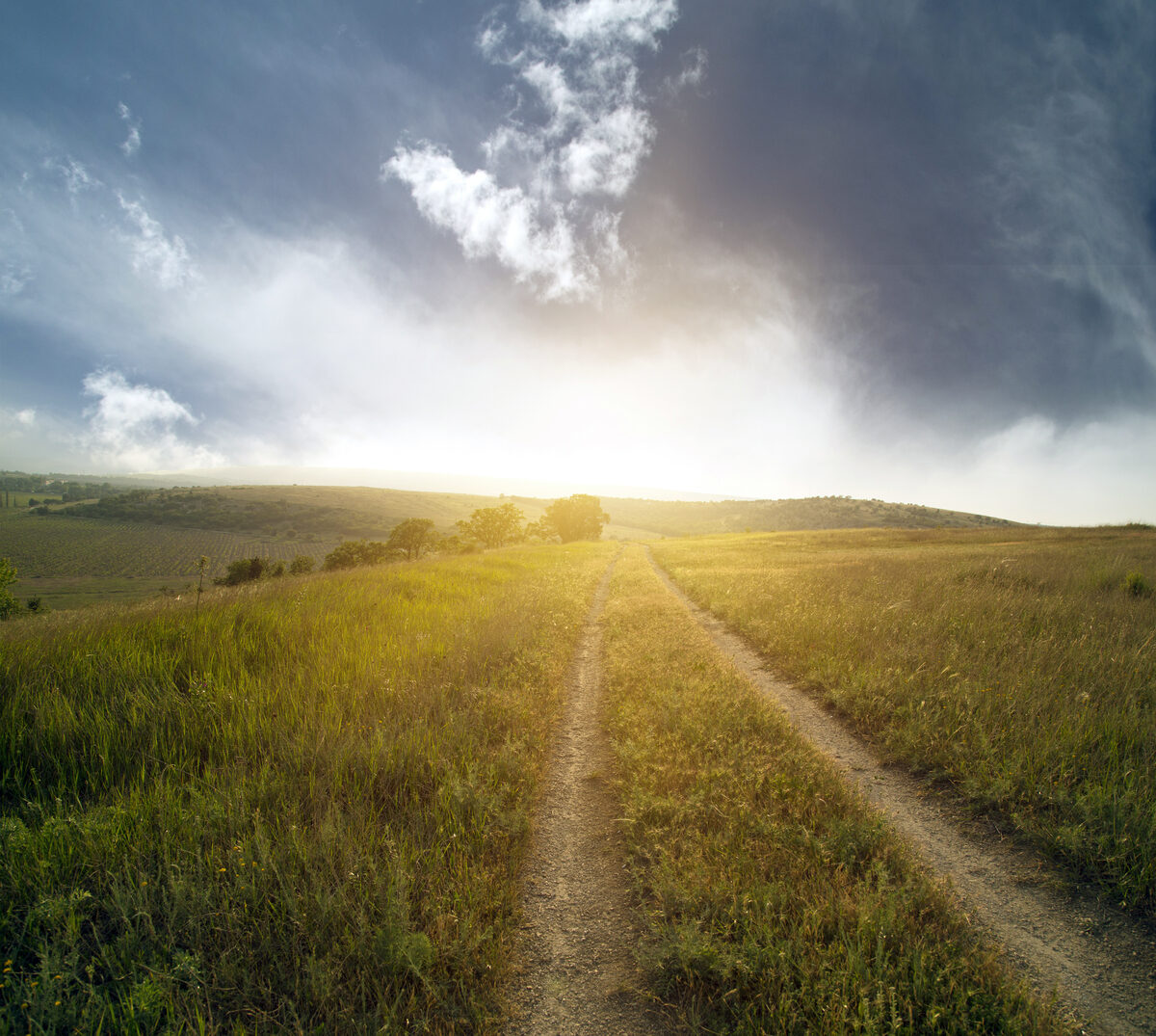 A hopeful perspective - The Courier News