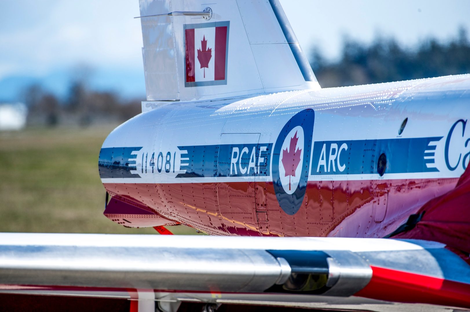 Operational pause ordered on Royal Canadian Air Force CT-114 fleet ...